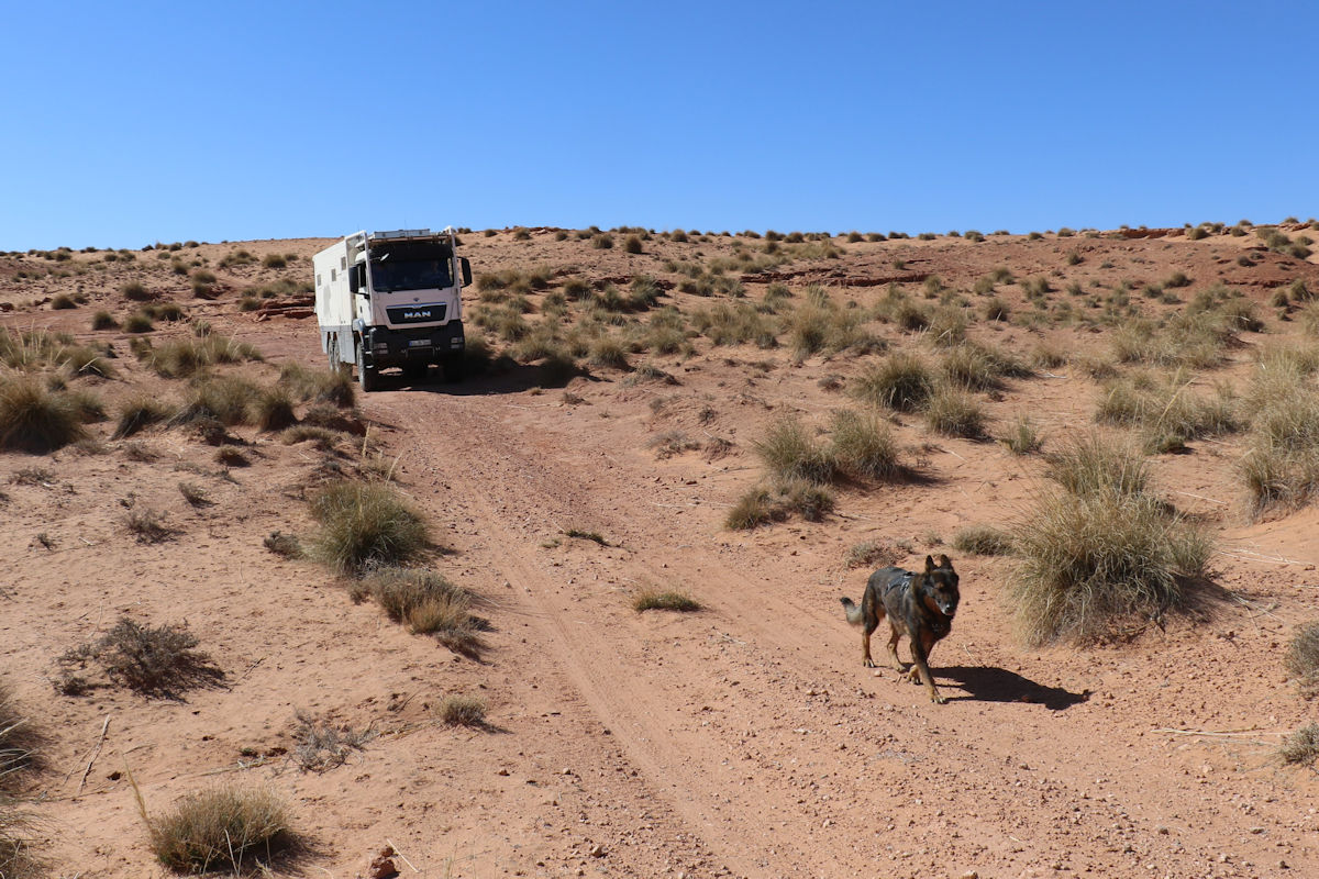 Tendrara - Salter's travels