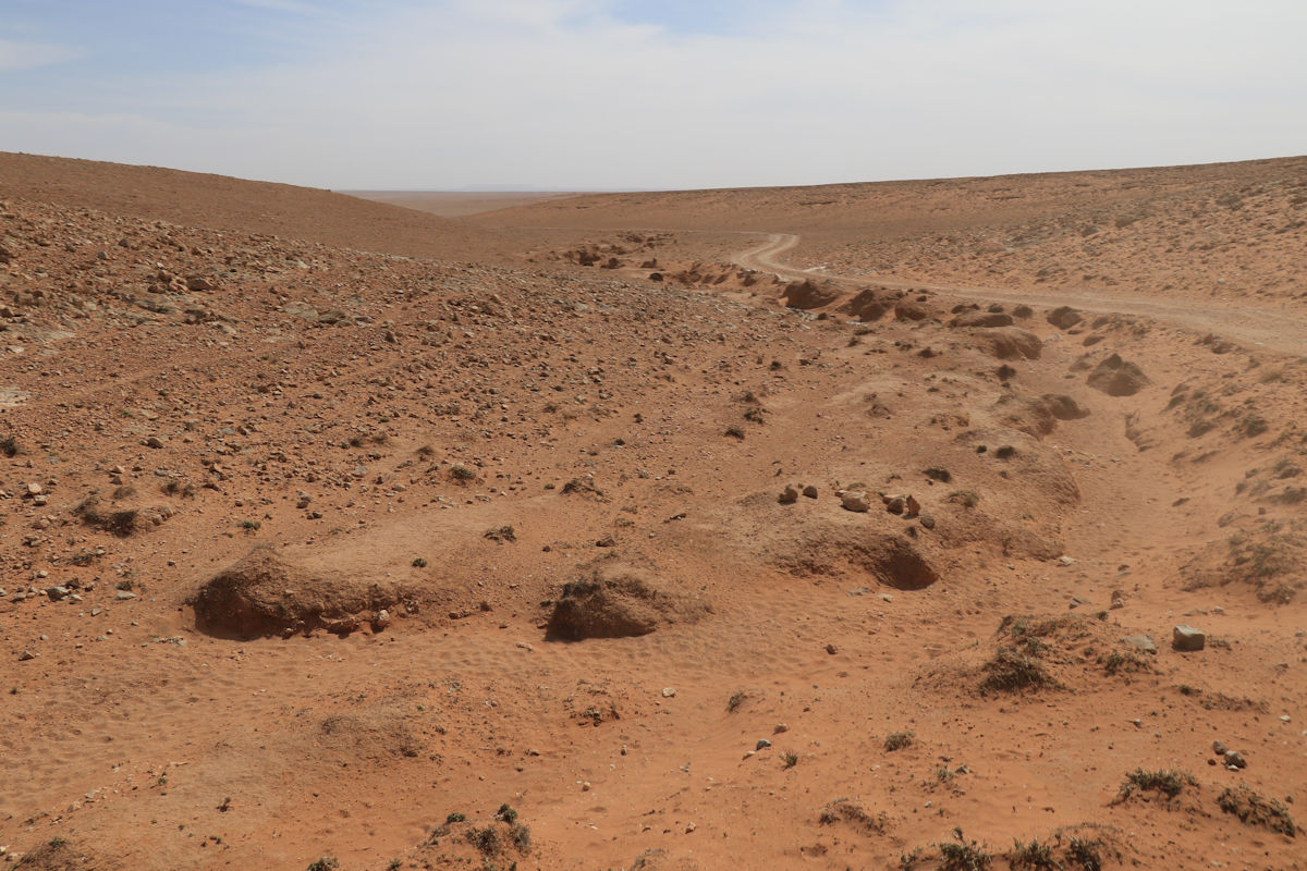 Tendrara - Salter's travels